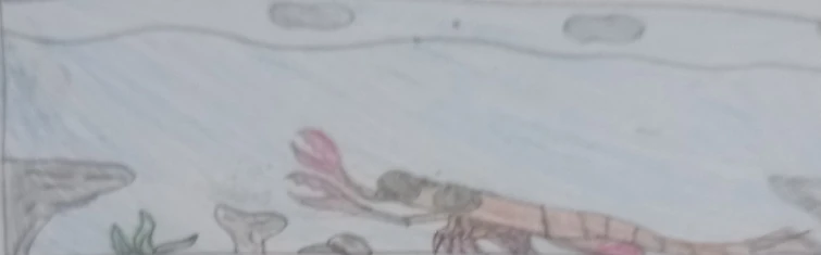 Low quality arthropod drawings made by a person who doesn't know how to ...