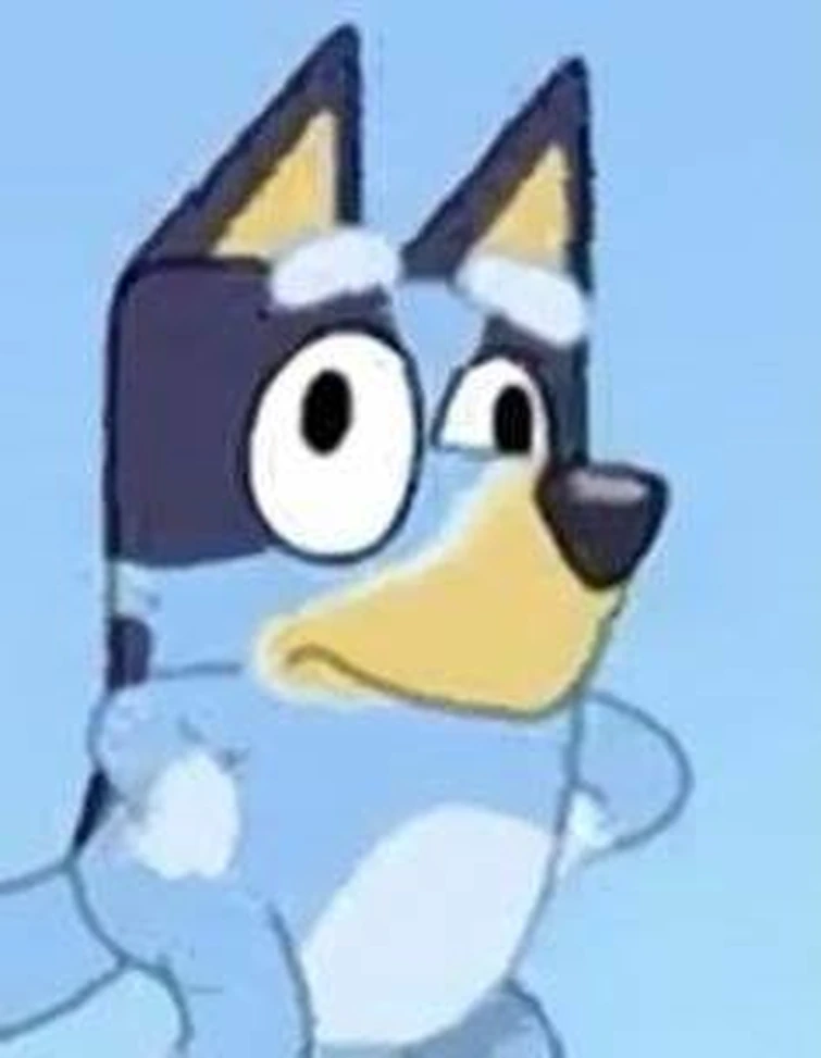 Hello World!... or just bluey fans | Fandom