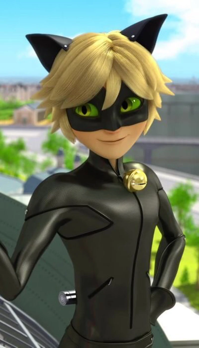 Chat noir smiling to brighten up your day | Fandom