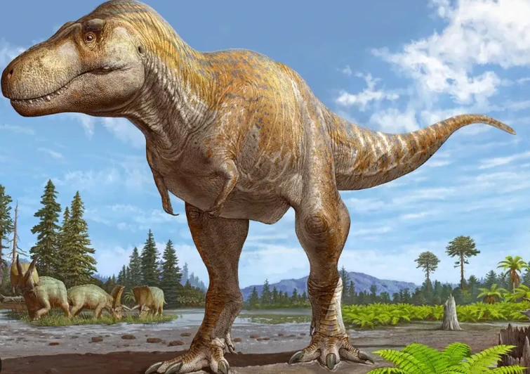 Biggest Species of Tyrannosaurs Ranked from Biggest to Smallest, Lets ...