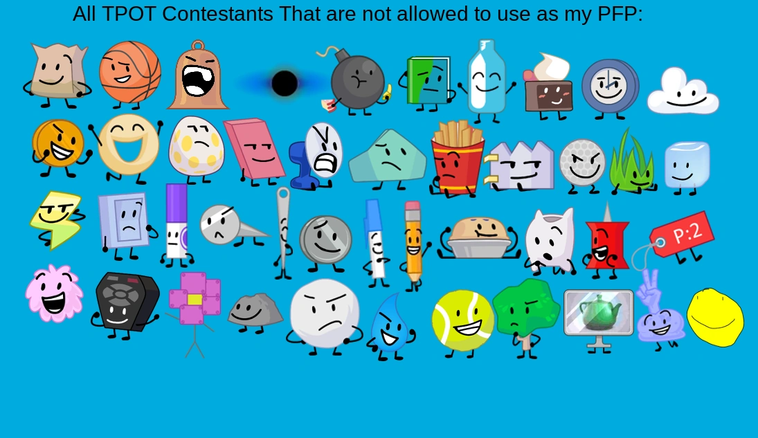 This is the PFP rules that the people on Discord give it to me: | Fandom