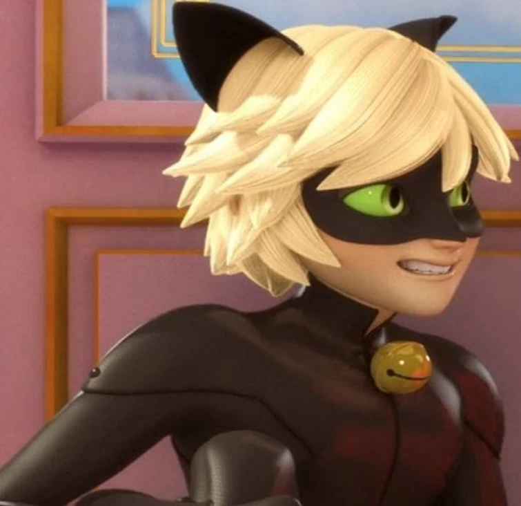Cat Noir | Fandom