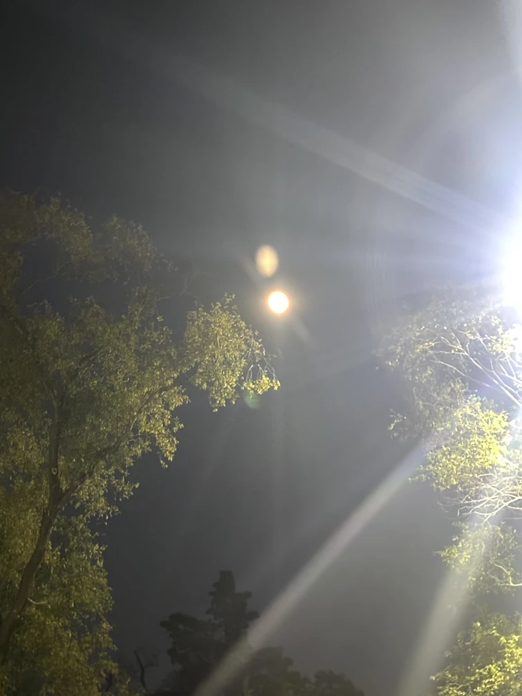 Sol's RNG Wiki Megathread | Fandom