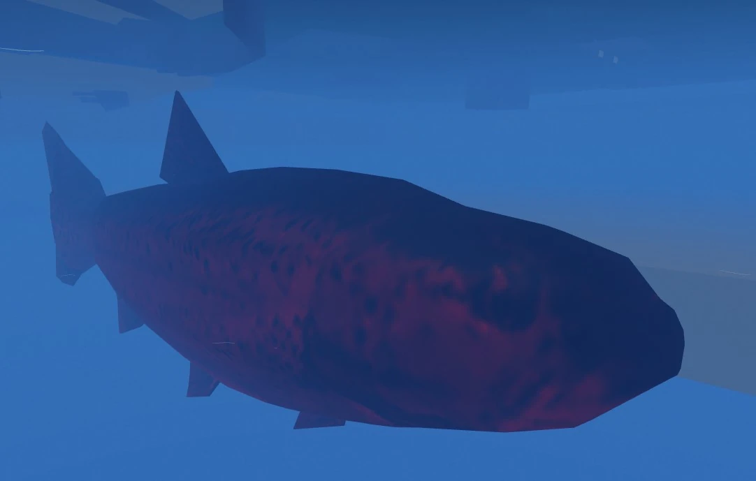 Giant fish under the map | Fandom
