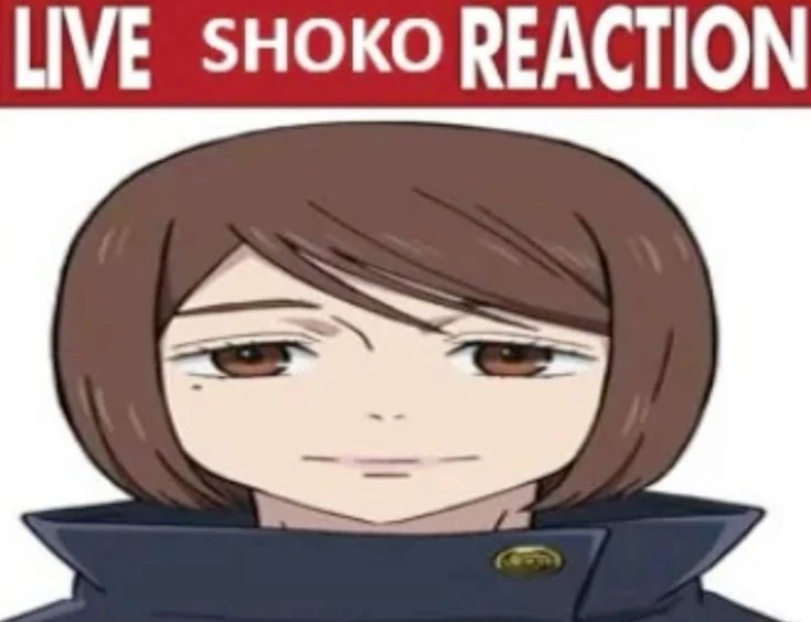 Hopping on the Shoko train chat | Fandom