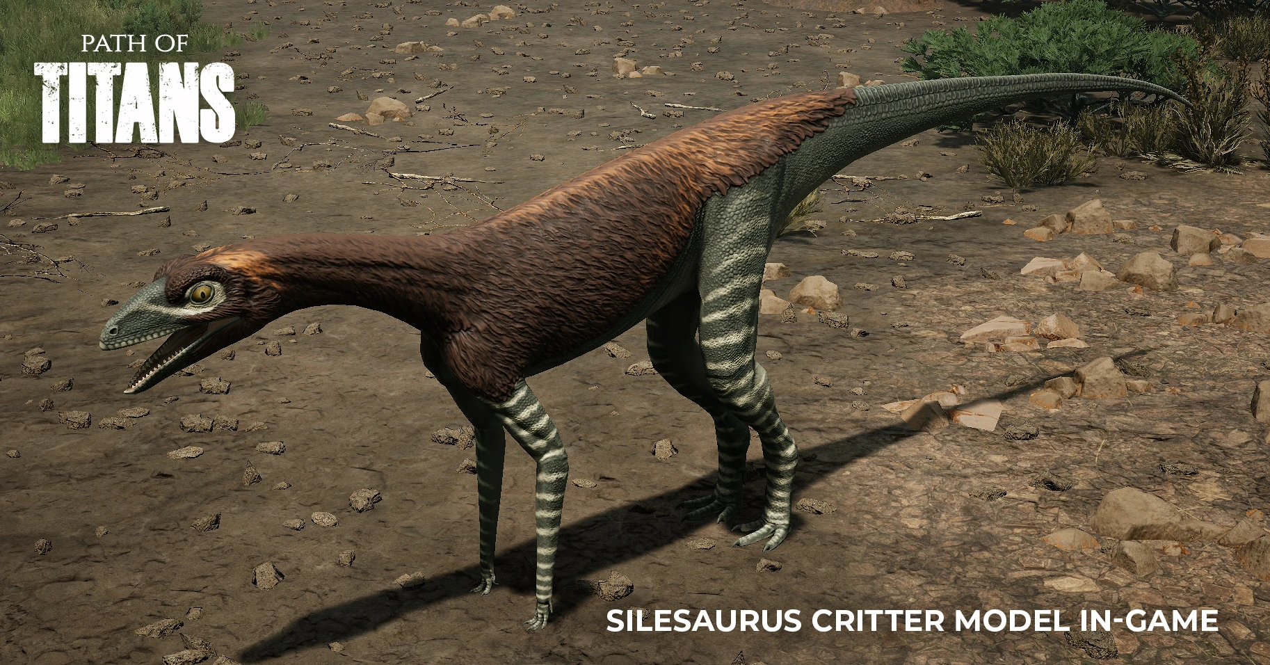 Dinopedia rates the accuracy of POT Silesaurus/ Bagaceratops critters ...