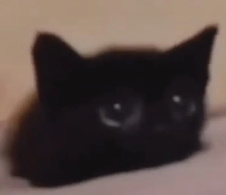 first 9 bots suggested get added to doge nextbot | Fandom