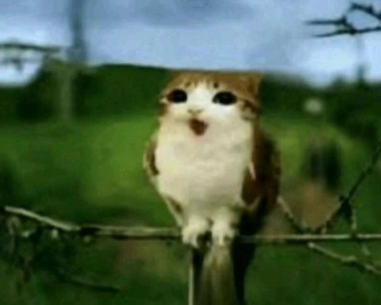 making badges for you guys | Fandom