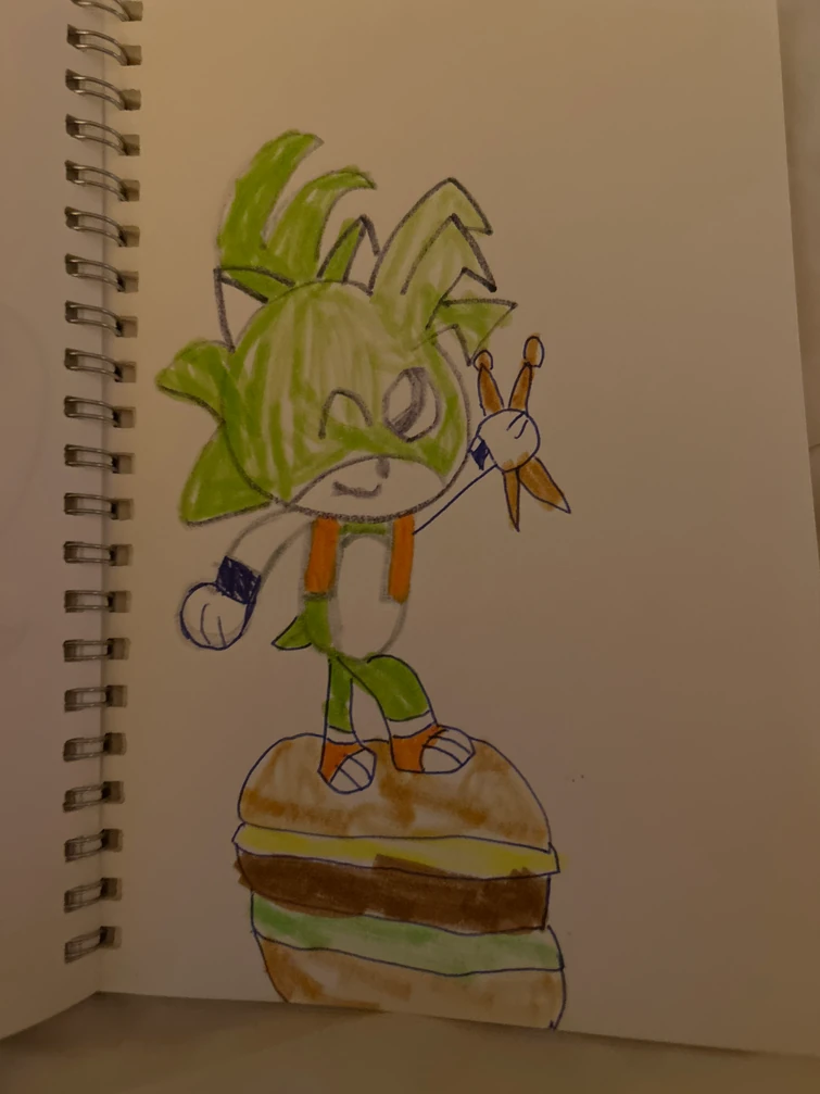 Discuss Everything About Sonic Wiki Zone | Fandom