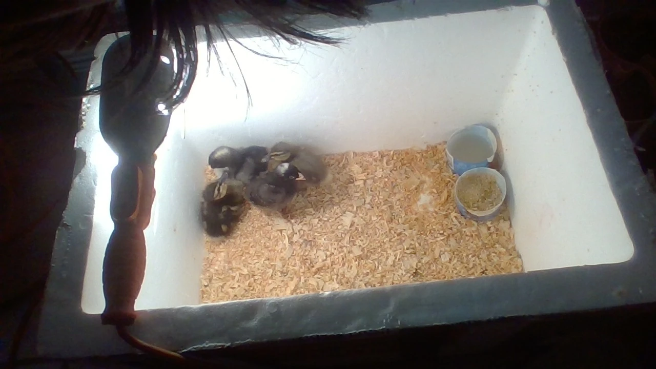 random enemy post | Fandom