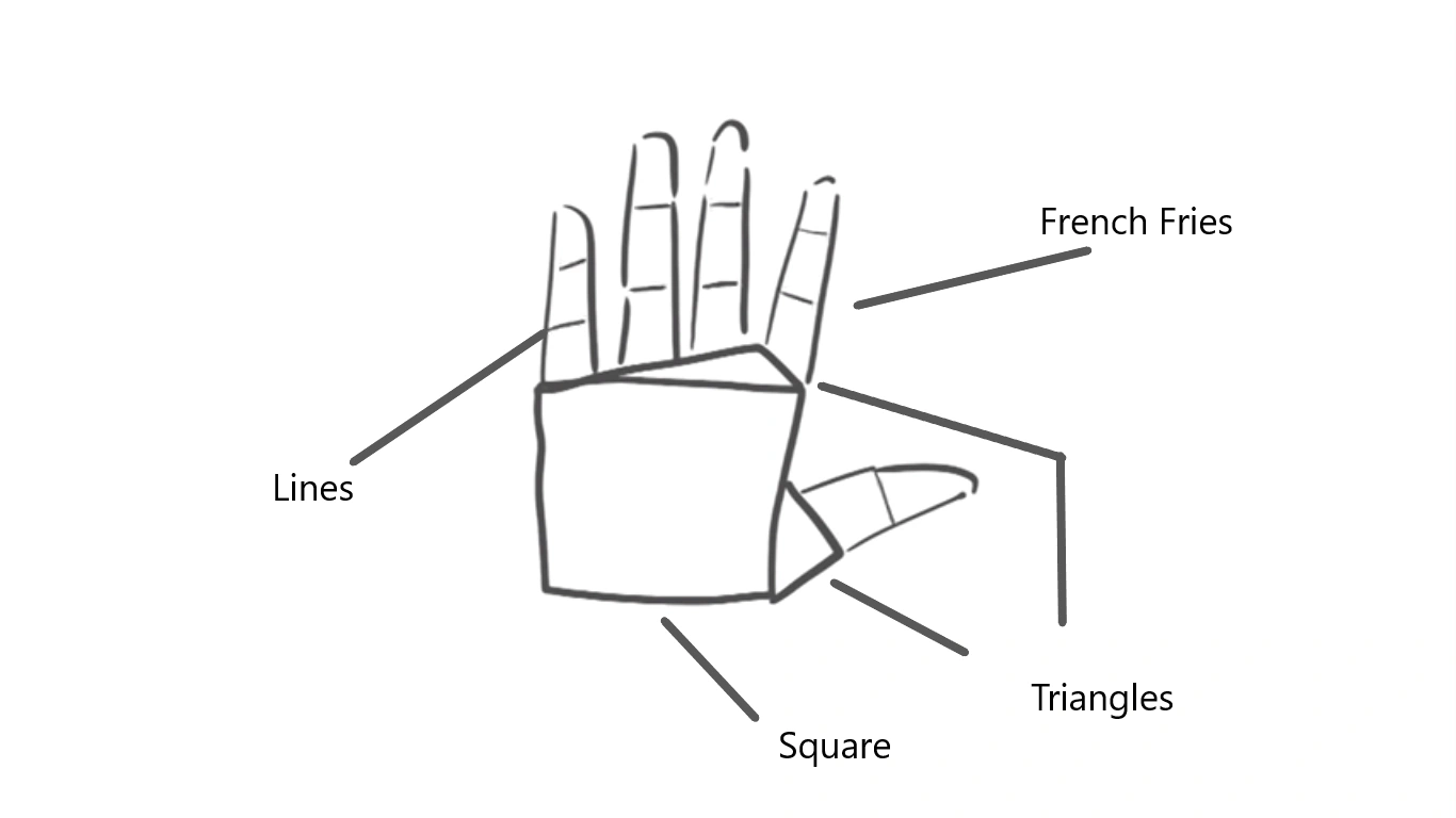 This is the super accurate anatomy of a basic human hand for Artists ...