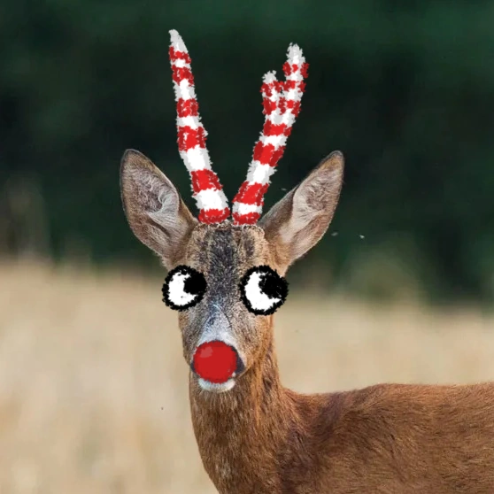 rudie release when | Fandom