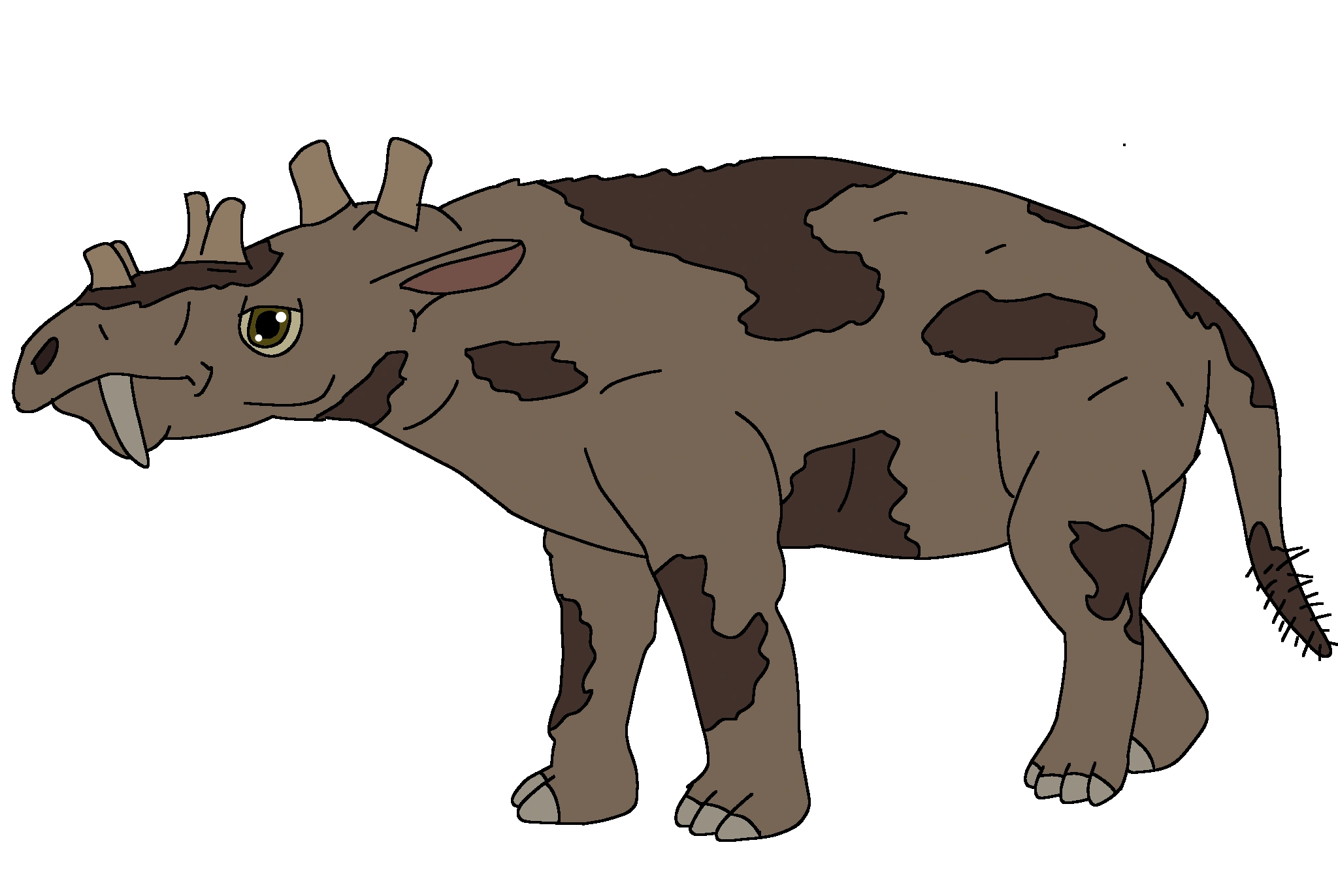 Uintatherium drawing | Fandom