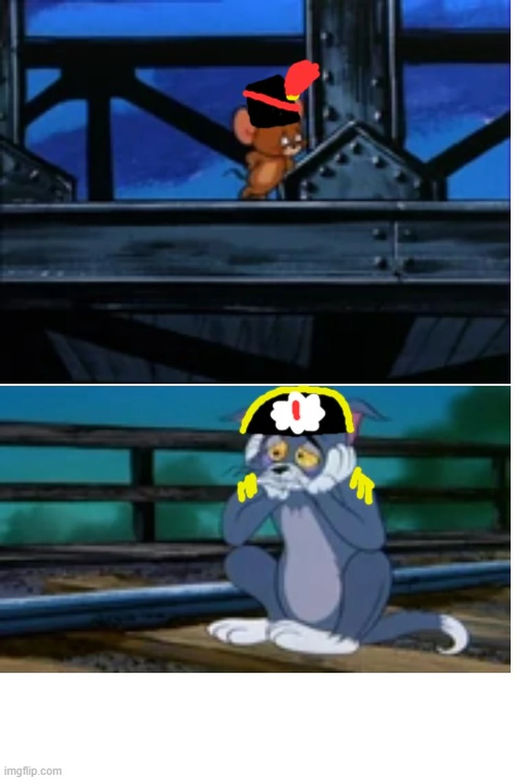 Tom, what will we do? | Fandom