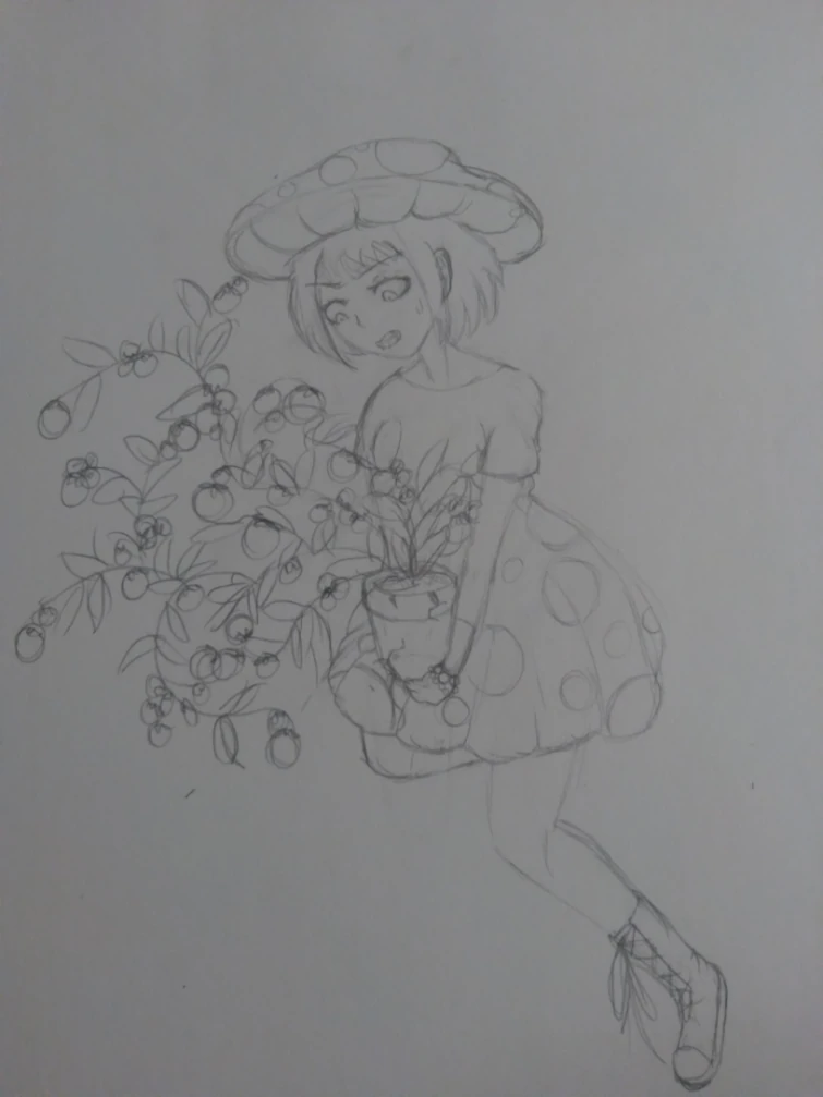 DMF sketches go brrrrrrr | Fandom