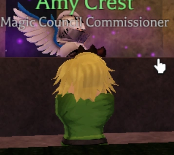 magic council | Fandom