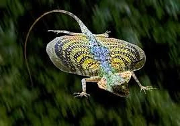 Discuss Everything About Prodigy Game Wiki | Fandom