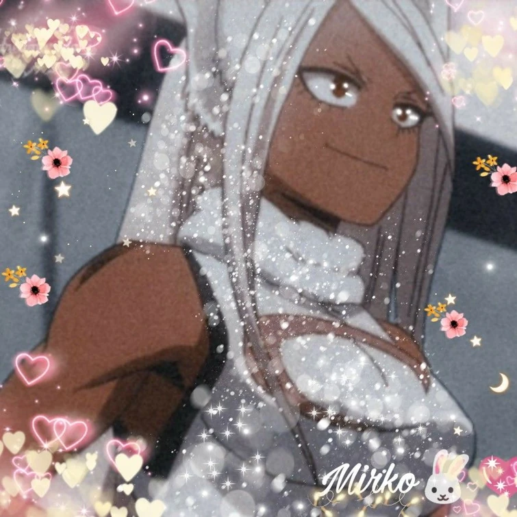 My favorite four edits of Mirko. | Fandom