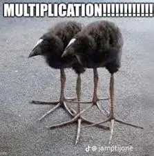 multiplication!!!!!!!!!!!!!!!!!!!! | Fandom