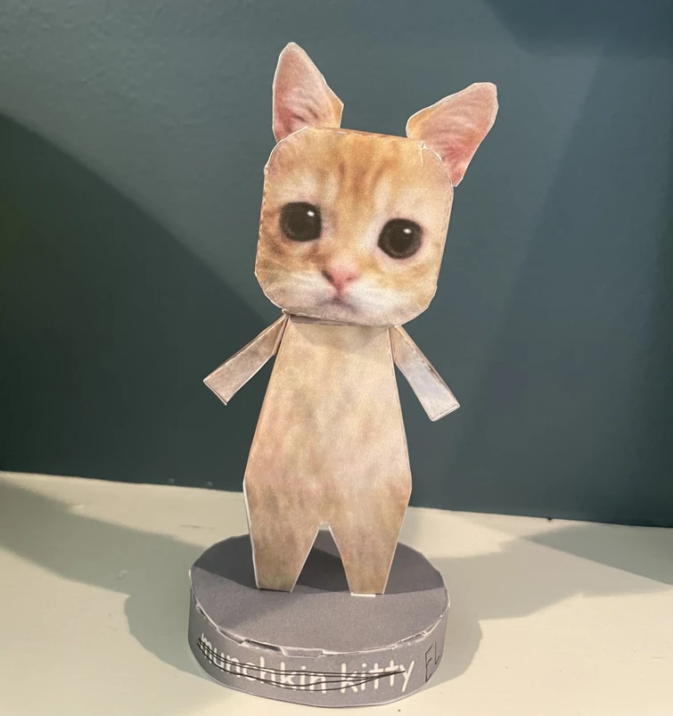 I made an el gato | Fandom