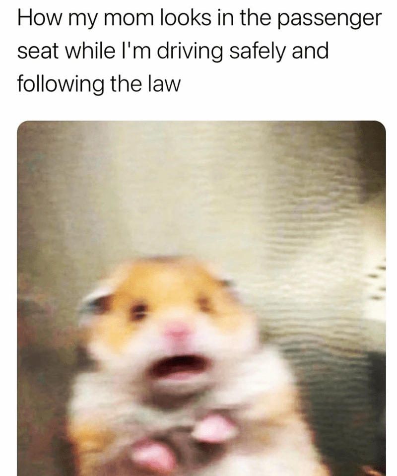 Relatable car memes because I'm bored (PT. 4) | Fandom