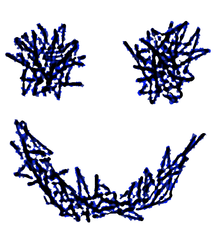 Fan made Entities | Fandom