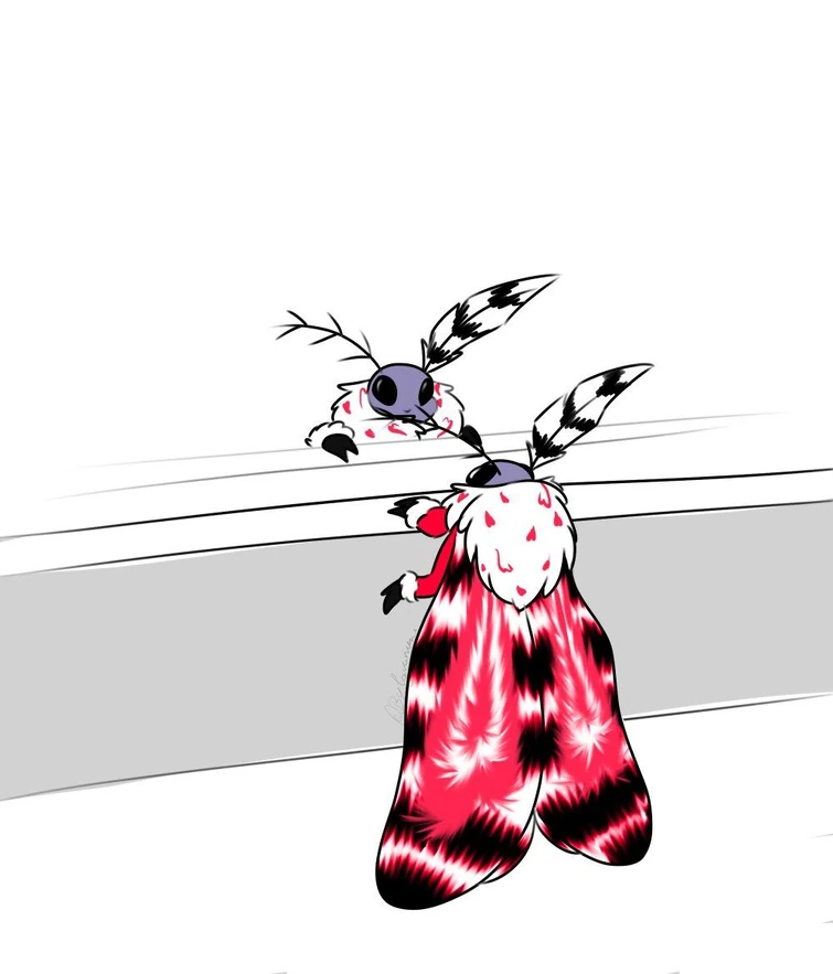 Hehehehe Moth boi | Fandom