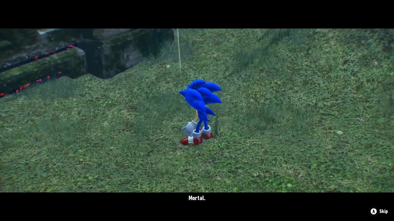 Judging that Sonic is a hedgehog, why did The End called him a mortal ...