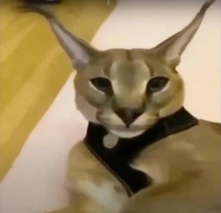 Fandom is a bitch | Fandom