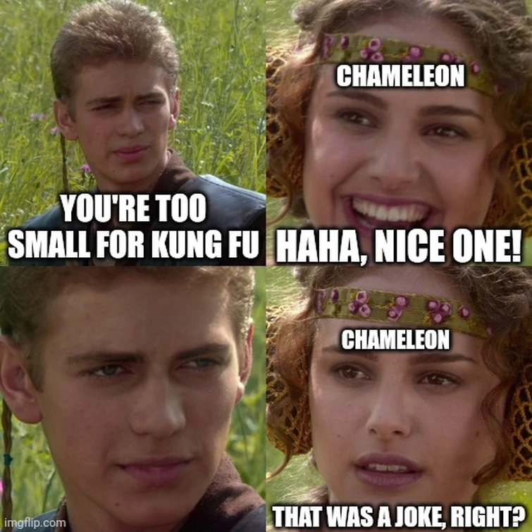 [Fanon/Memes] Compilation of KFP memes | Fandom