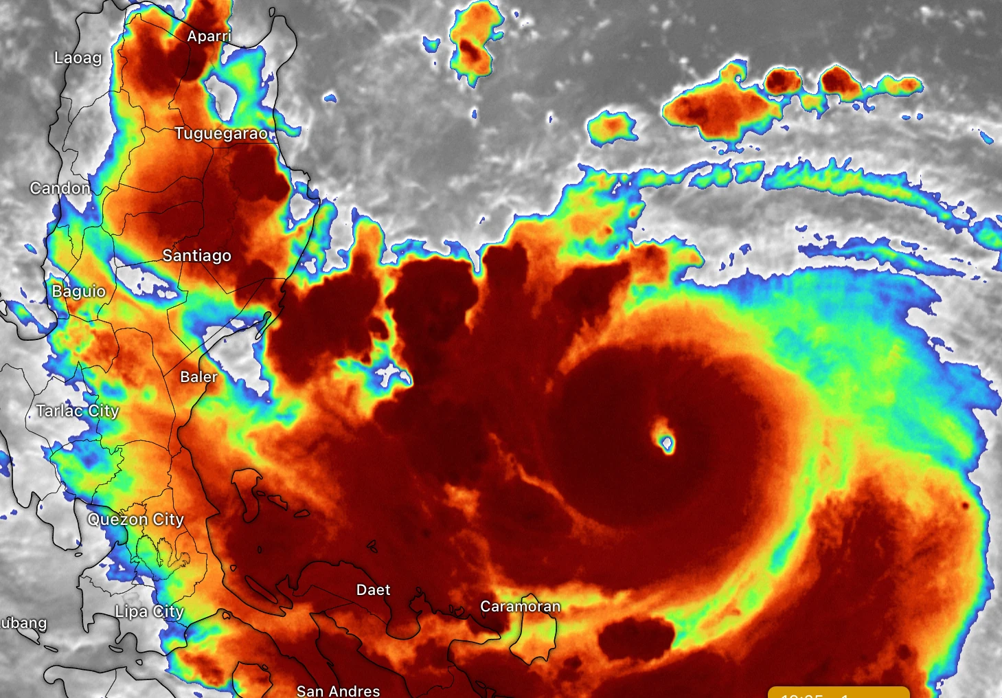 noru is not a cat 1 | Fandom