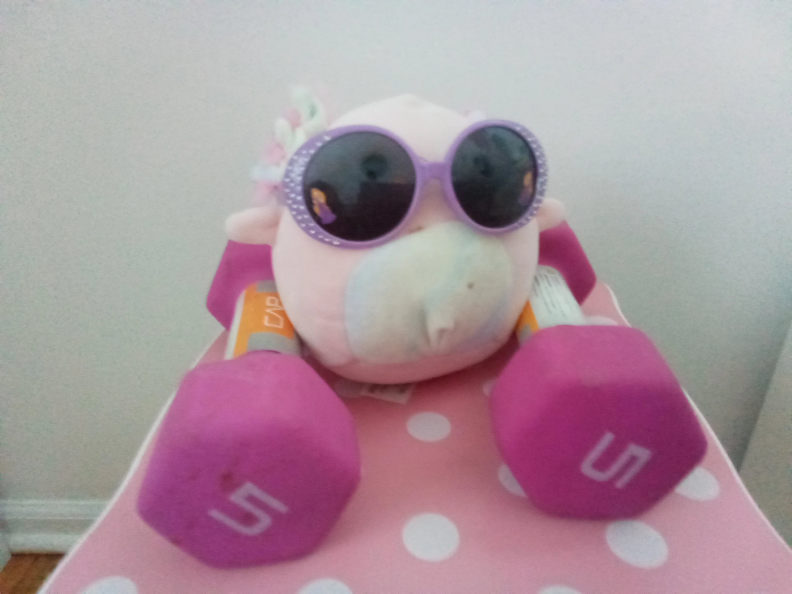 Archie went to go to the GYM?!?!?!? | Fandom