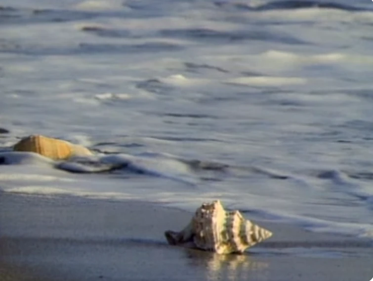 What is the source of this footage? | Fandom