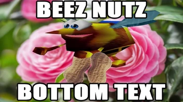 WWW, Team-ups: 1st name in each option can't attack, 2nd name can ...