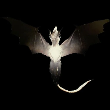 Discuss Everything About Monster Hunter Wiki | Fandom