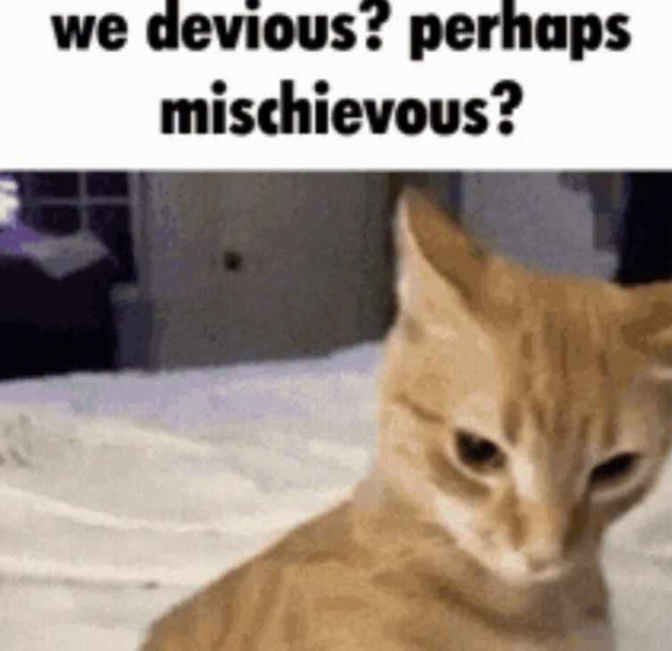 me when i made the tsukasa hater post | Fandom