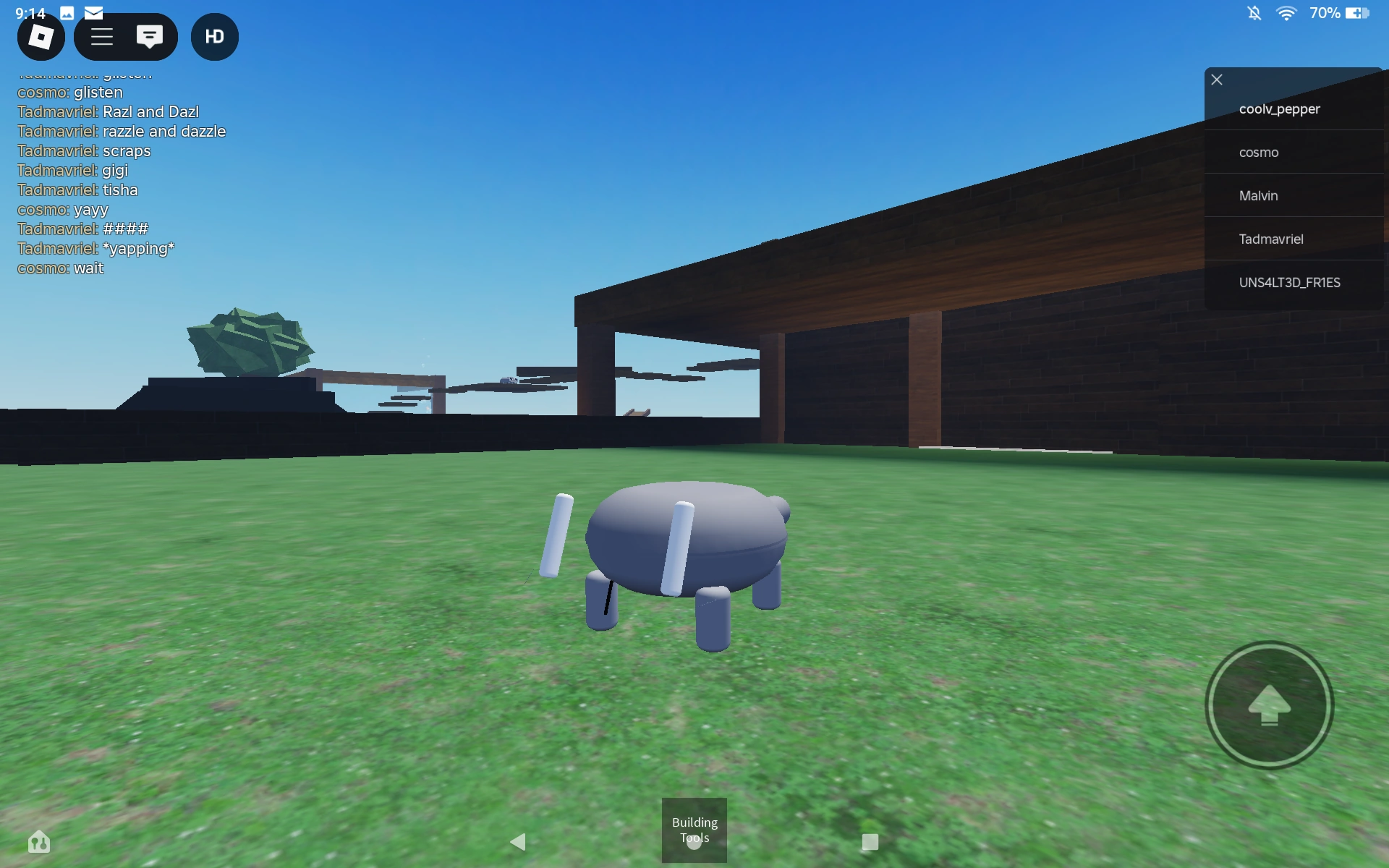 New pebble skin unlocked | Fandom