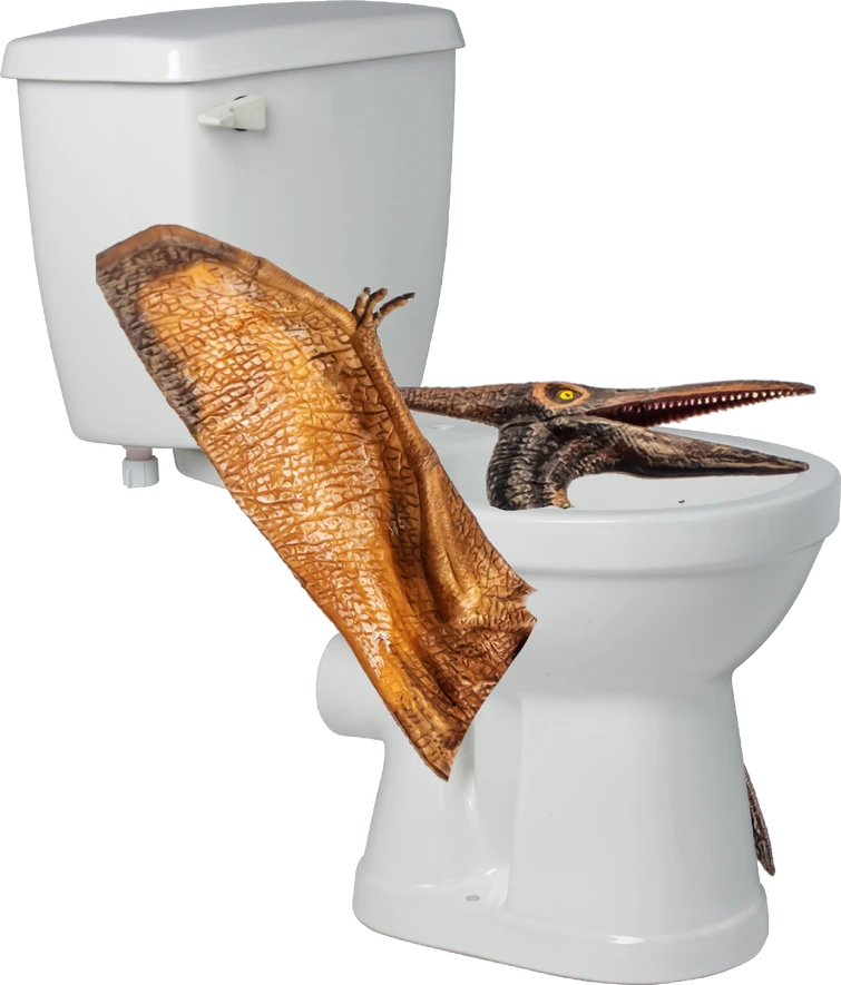 Pterodactyl toilet | Fandom