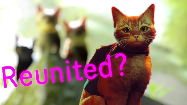 Will there be a Stray 2? (Not confirmed) | Fandom