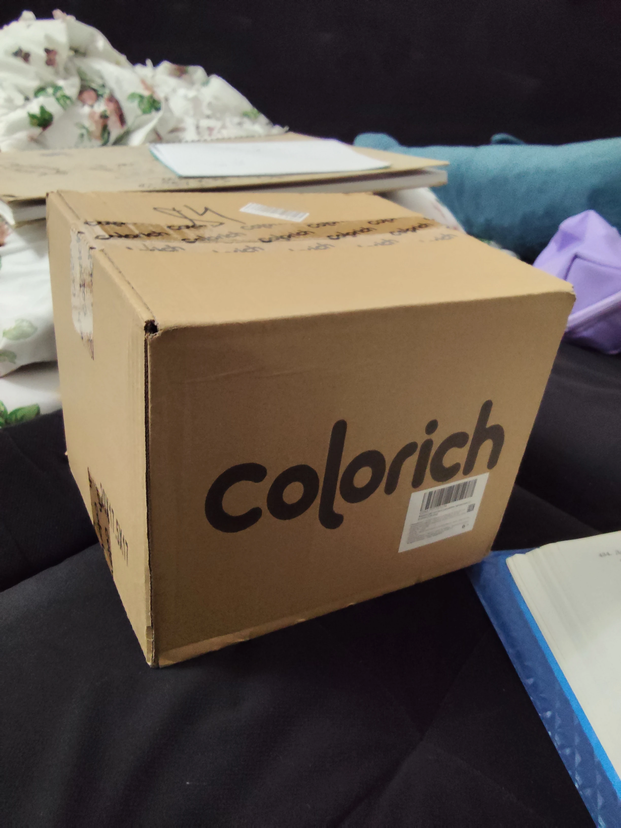 Guess what's in the box | Fandom