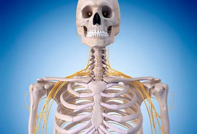 Groundbreaking news for power scalers!!! | Fandom