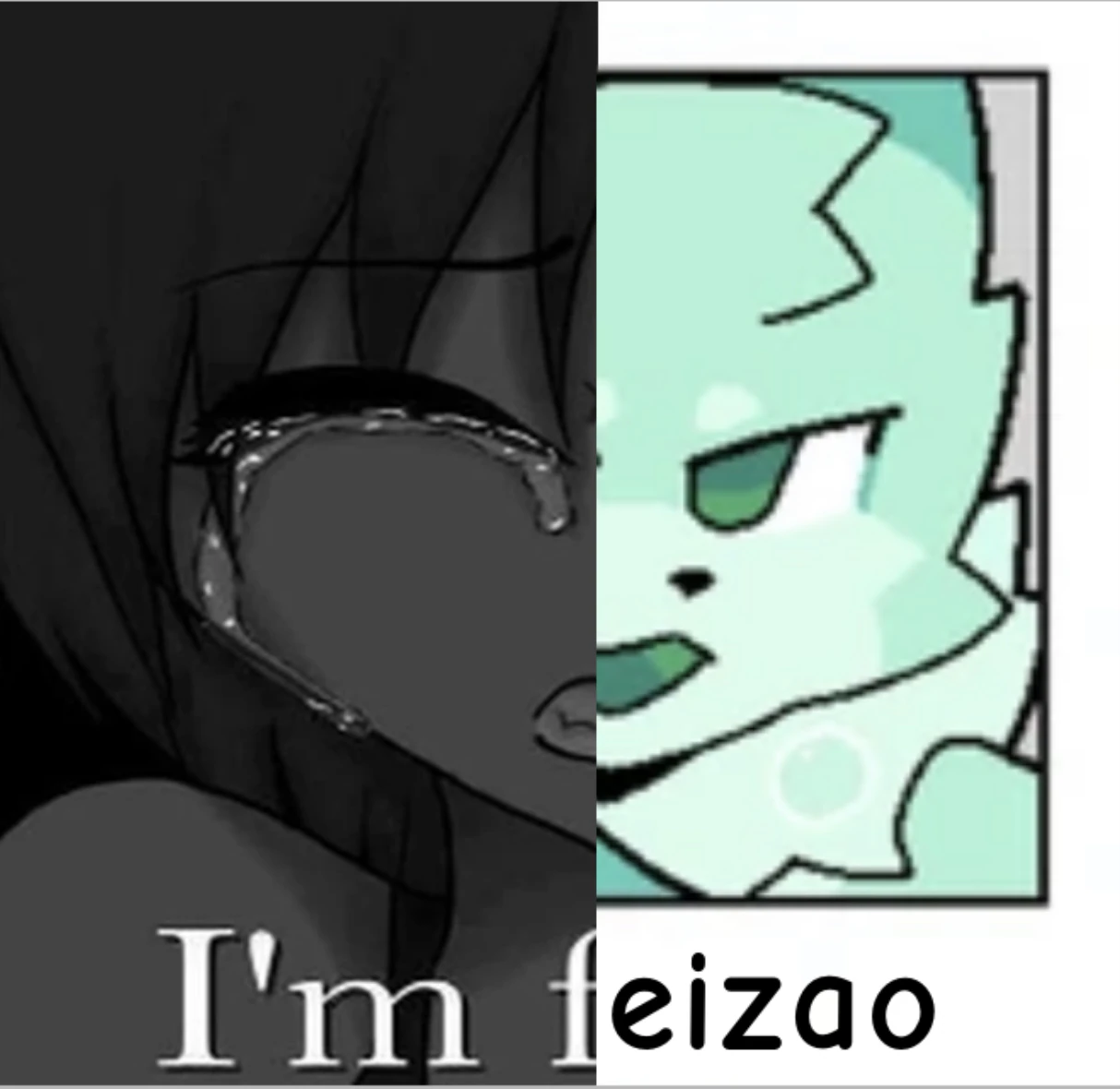 I’m Feizao | Fandom