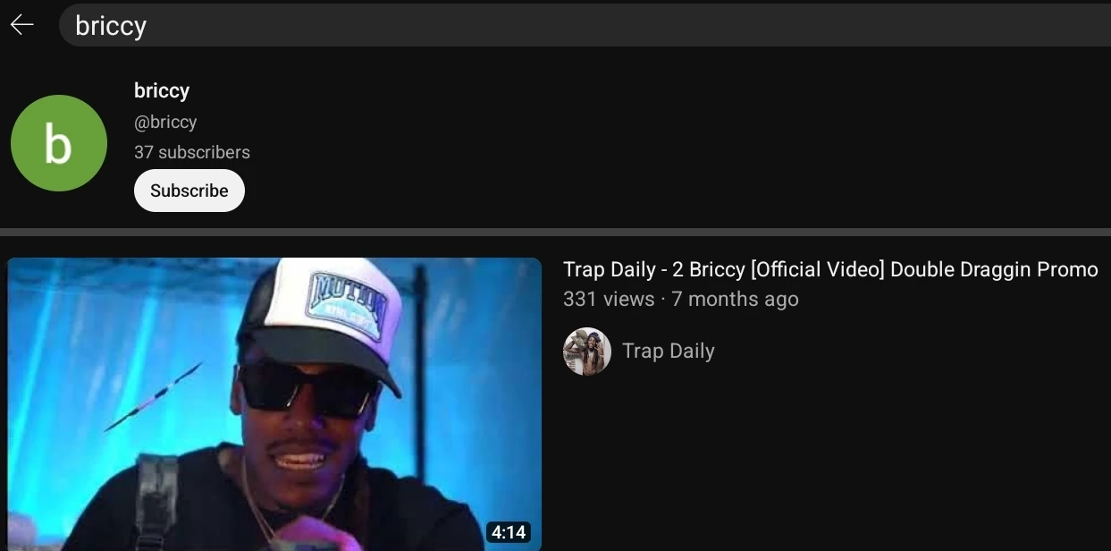 briccy on yt real | Fandom