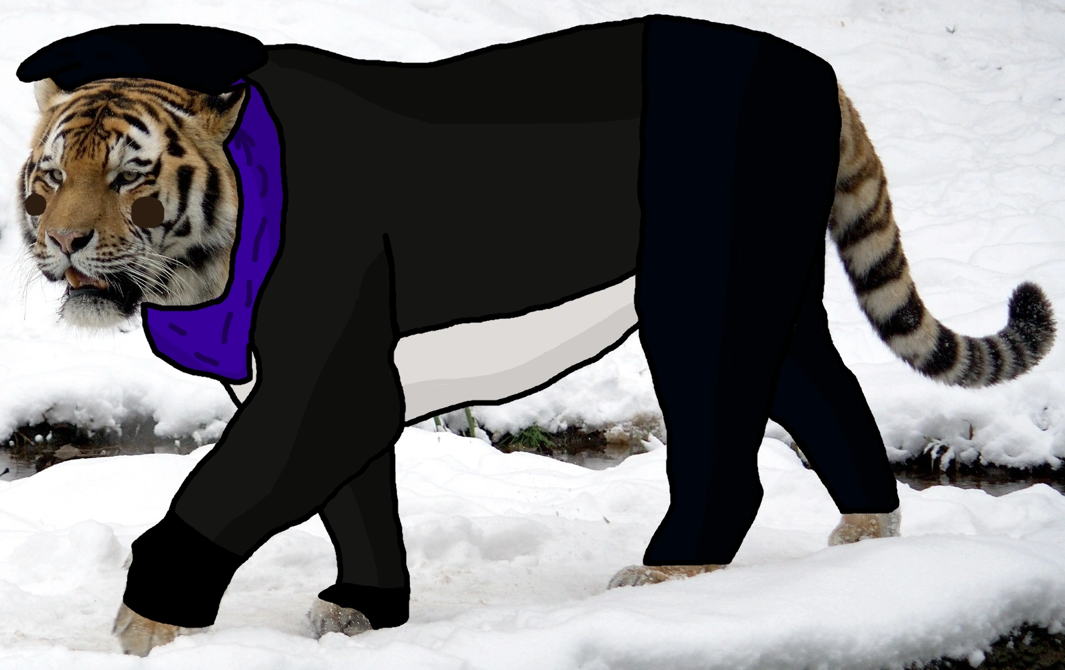 Tigry (docks) irl | Fandom