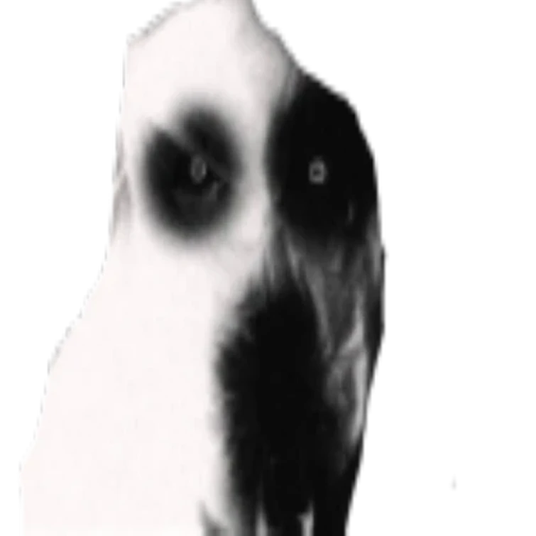 fuck fuck fuck fuck fuck fiuck | Fandom