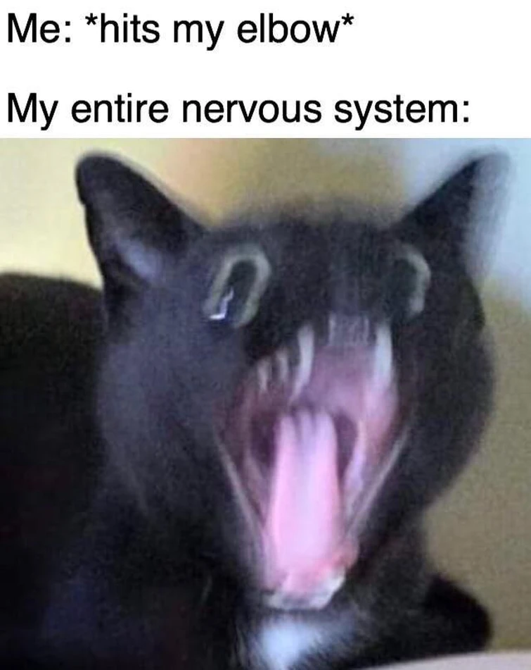 Off-topic meme | Fandom