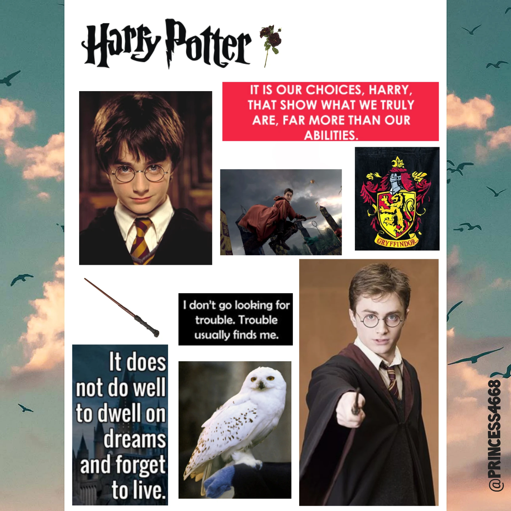 Harry Potter Collage! | Fandom