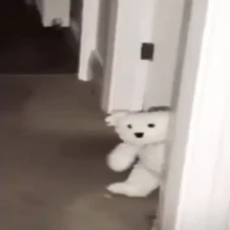 Discuss Everything About Roblox BEAR Wiki | Fandom