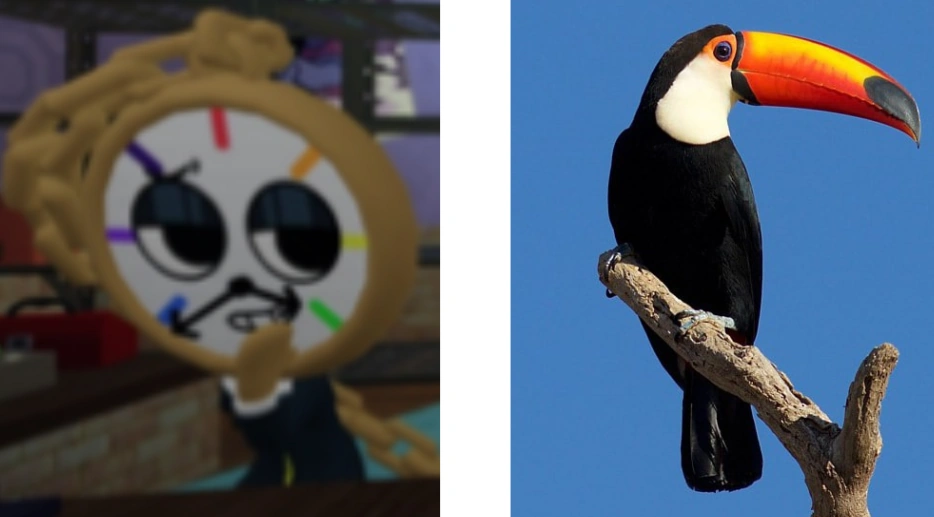Recently, a toucan was cought devouring Dyle Timesly in Massachusetts. | Fandom