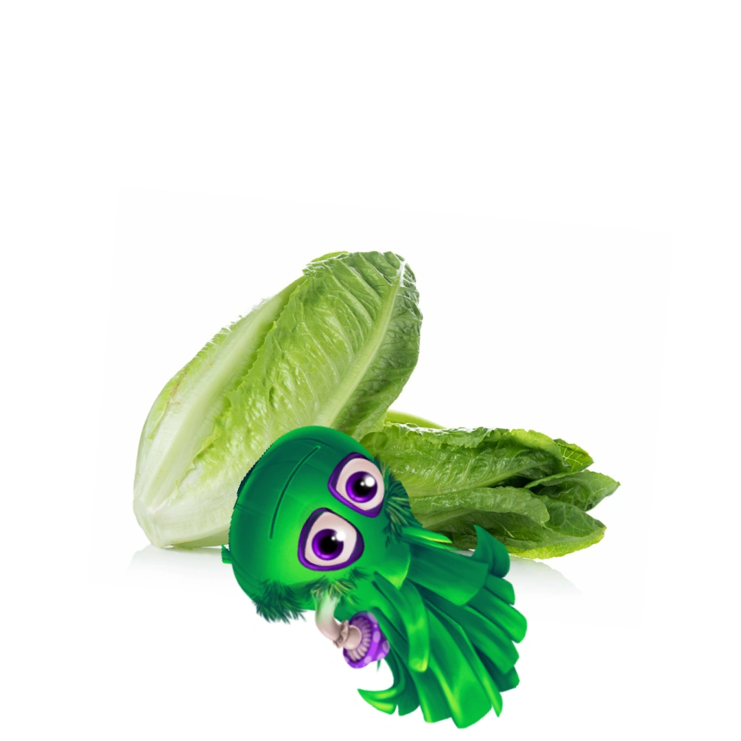 Just some normal lettuce | Fandom